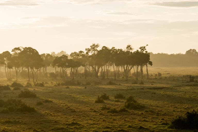 Maasai Mara, Kenya-Africa - Marcy Yu Fashion Blog